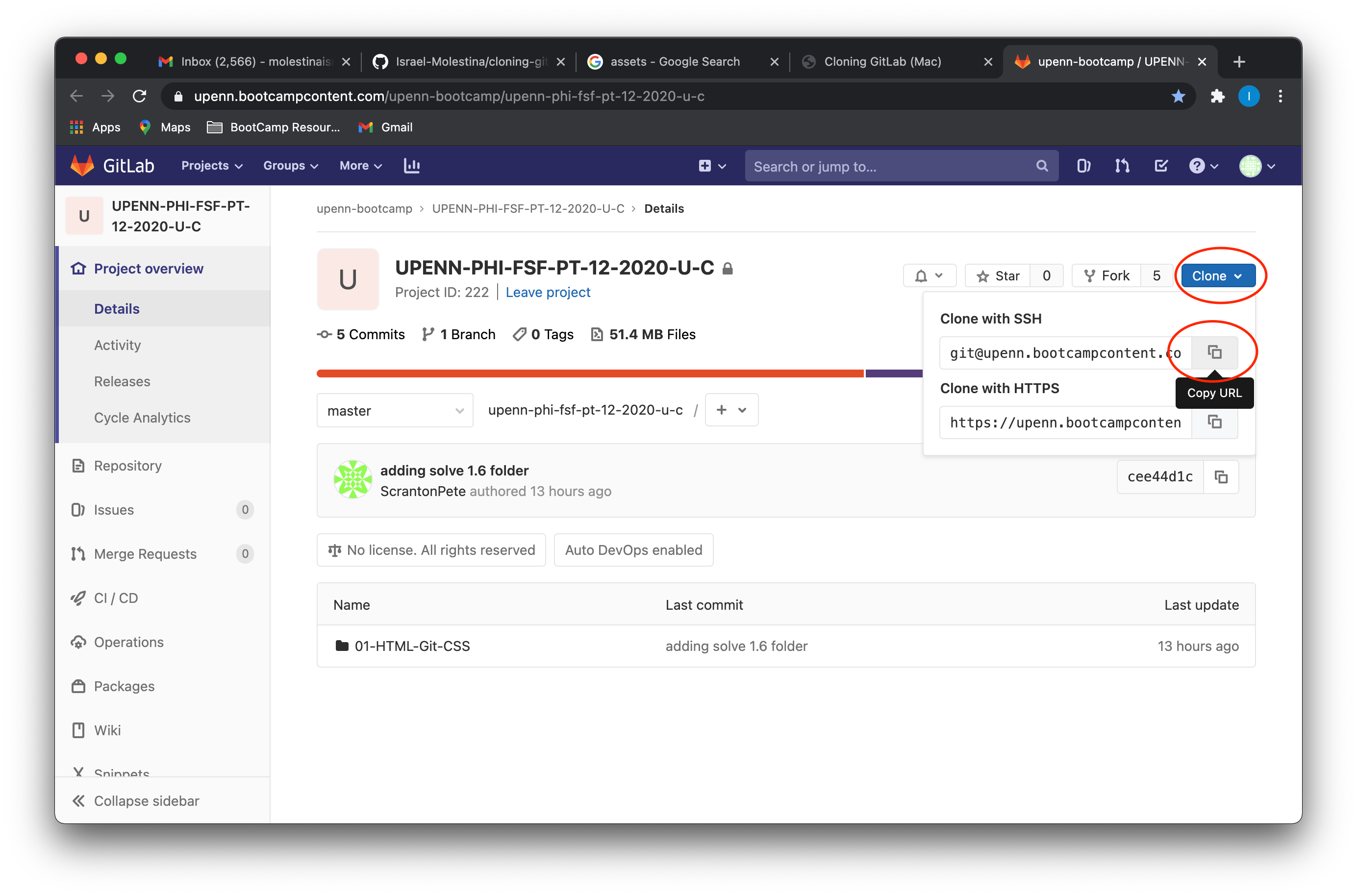 Cloning GitLab Mac 